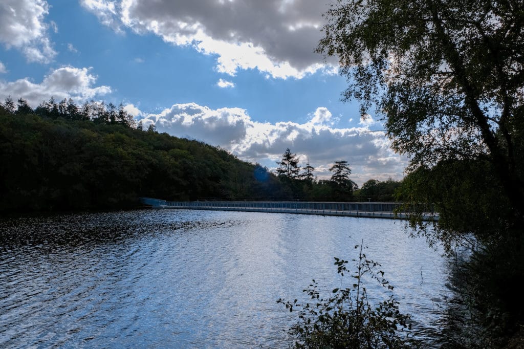 Balade au Lac de Savenay