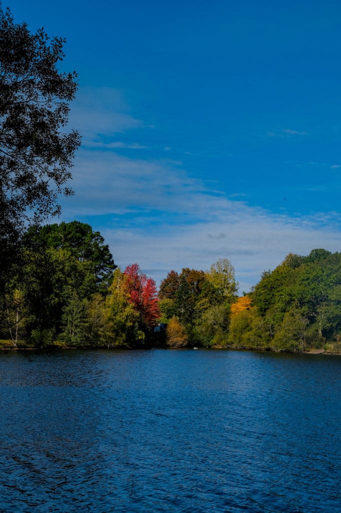 Balade au Lac de Savenay