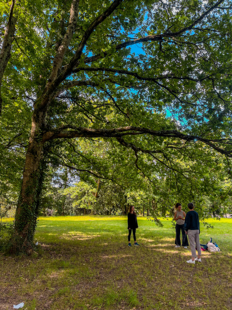 La Baladeuse - Nantes