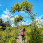 La Baladeuse - Nantes